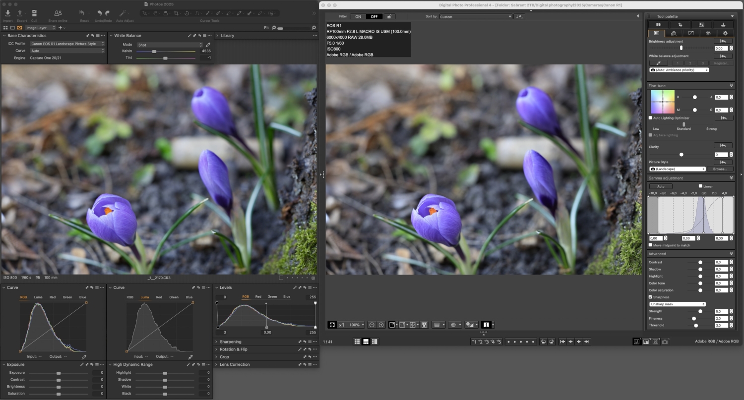 Canon EOS R1 Landscape Picture Style ICC profile for Capture One ...